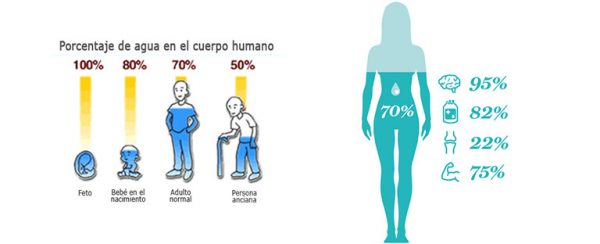 El Agua - Cursos Online El Agua - Cursos Online