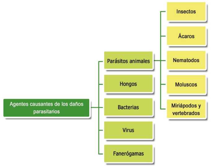 UNIDAD DIDÁCTICA 1 - Cursos Online